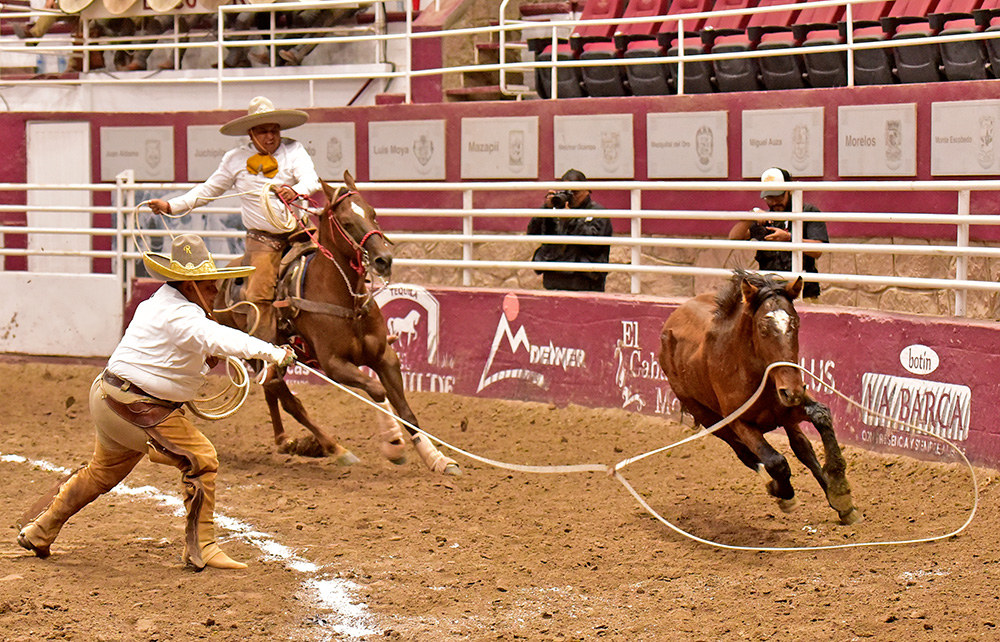 Charros del Rosarito emocionan con cinco manganas - La Voz de la Charreria
