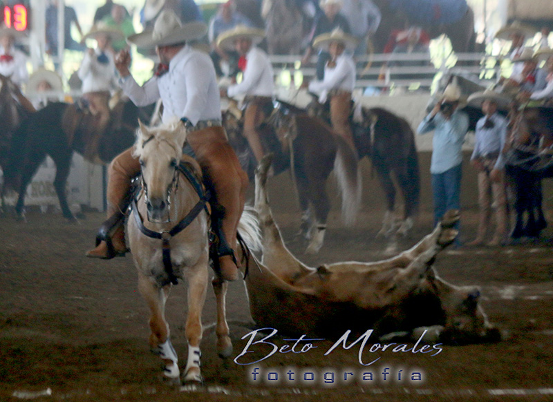 Rancho El Pitayo brilla en Puerto Vallarta con seis manganas - La Voz ...