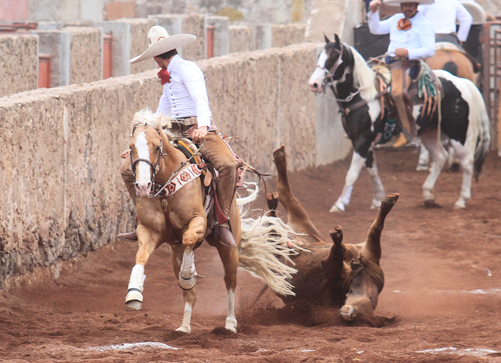 Imparable RG2 de San Luis Potosí, nuevo líder de Excelencia Charra - La ...