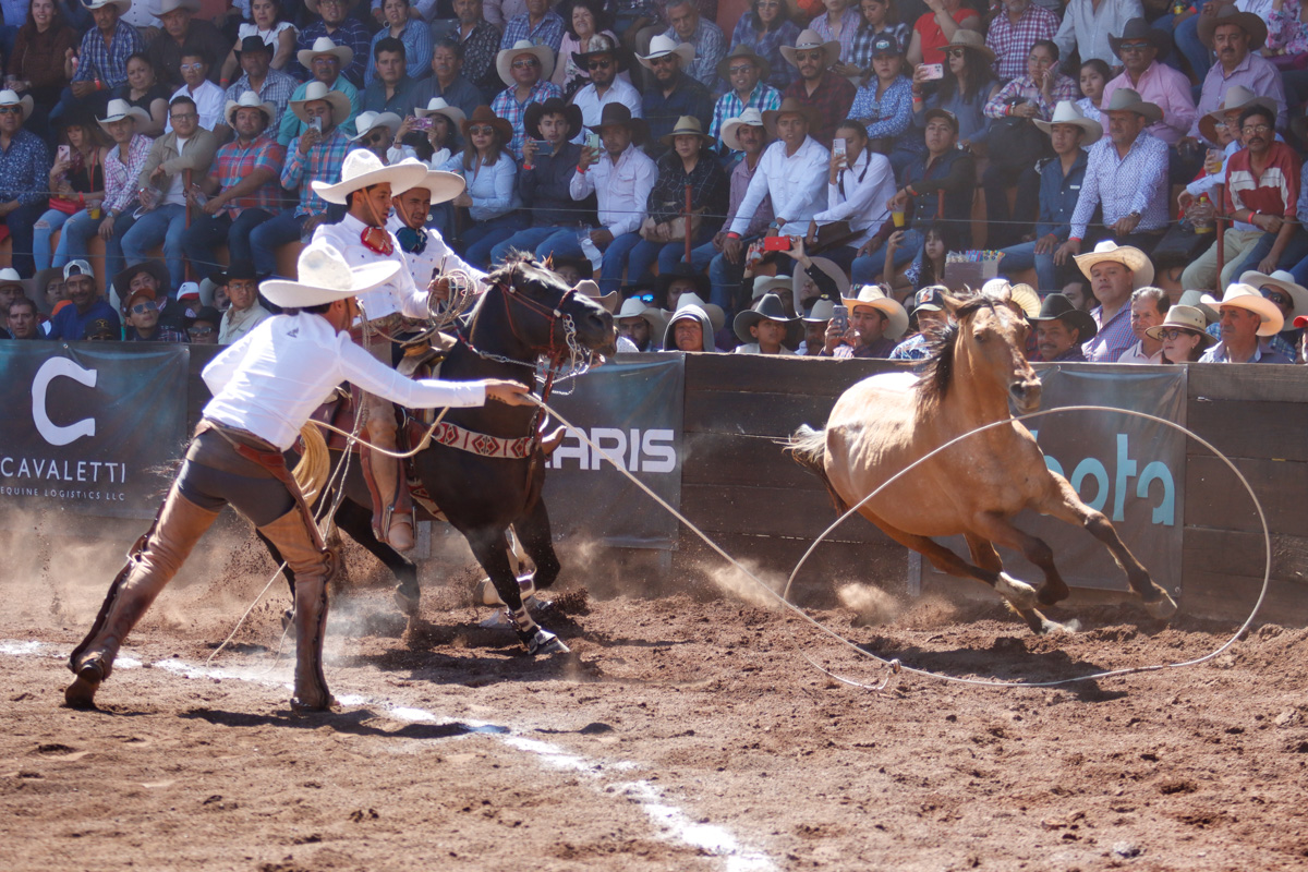 Emotivo triunfo de los Tres Potrillos ante un llenazo en Huichapan - La ...